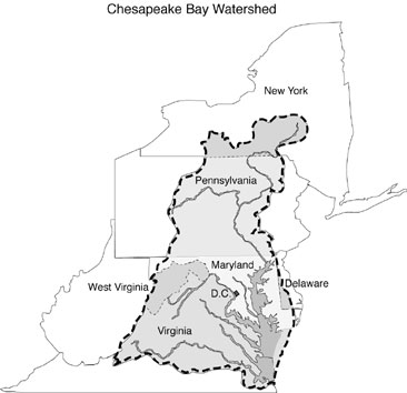 5 Steps to a Chesapeake Bay-Friendly Landscape – Maryland Grows