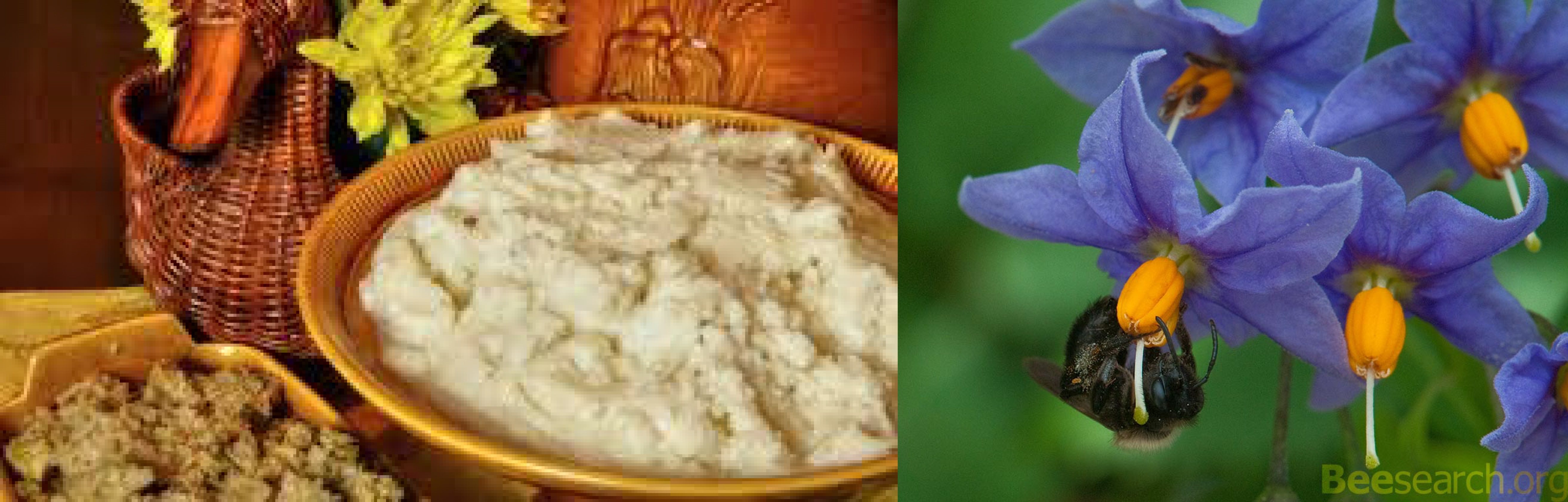 Please Pass the Cranberry Sauce and Give Thanks for Pollination ...