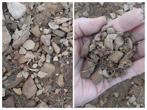 parent-material – Maryland Grows