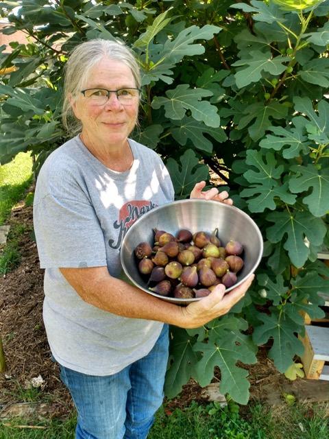 Fruit in your future? Start with small fruits, not tree fruits ...