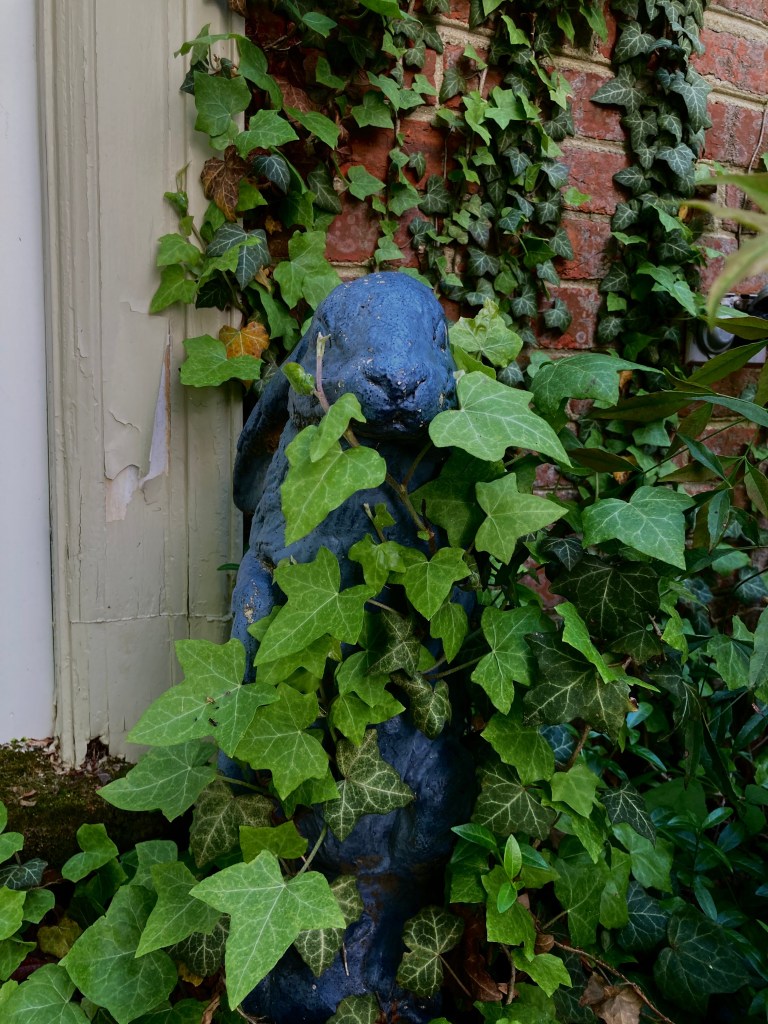 Getting Rid of Invasive Plants: Solarization, Smothering, Repeated ...