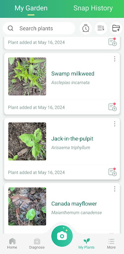 Using Apps for Plant Identification – Maryland Grows
