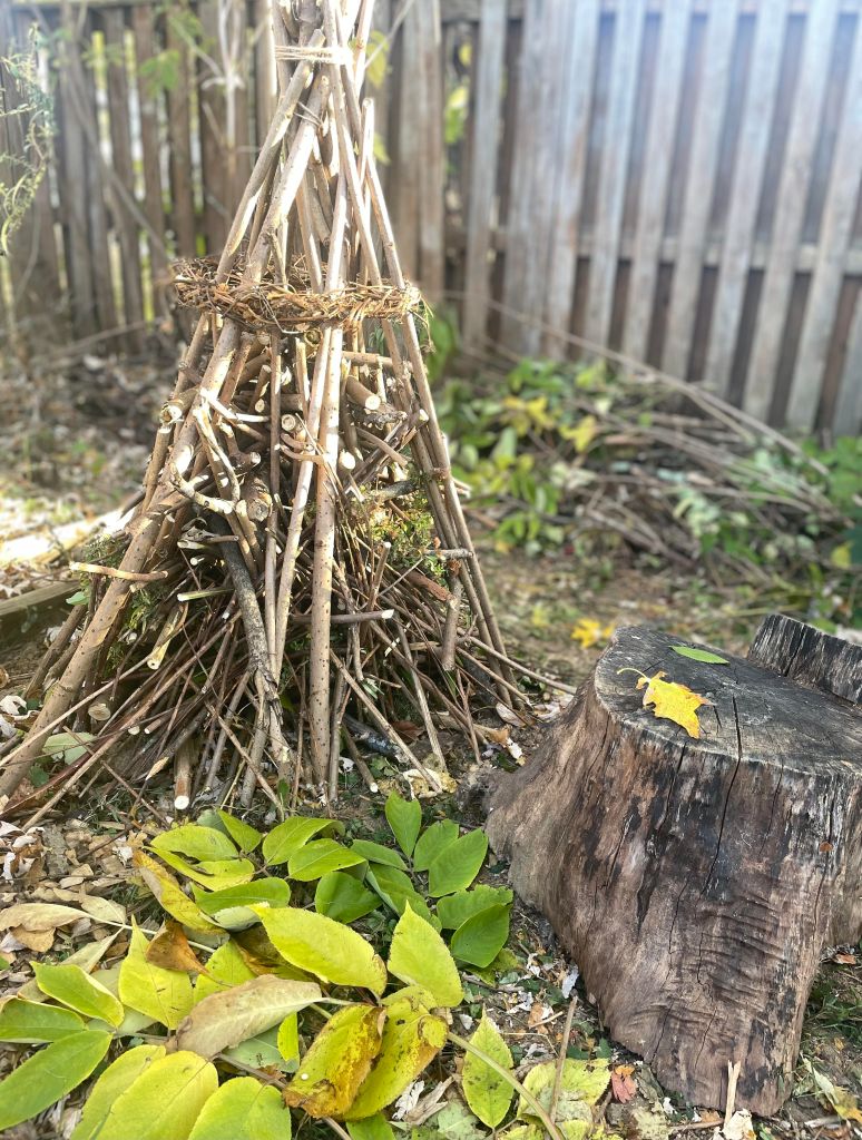 A Brilliant Fall Banquet for Birds, Butterflies, and Bees – Maryland Grows
