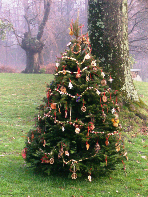 10 Ways to Repurpose Your Christmas Tree – Maryland Grows